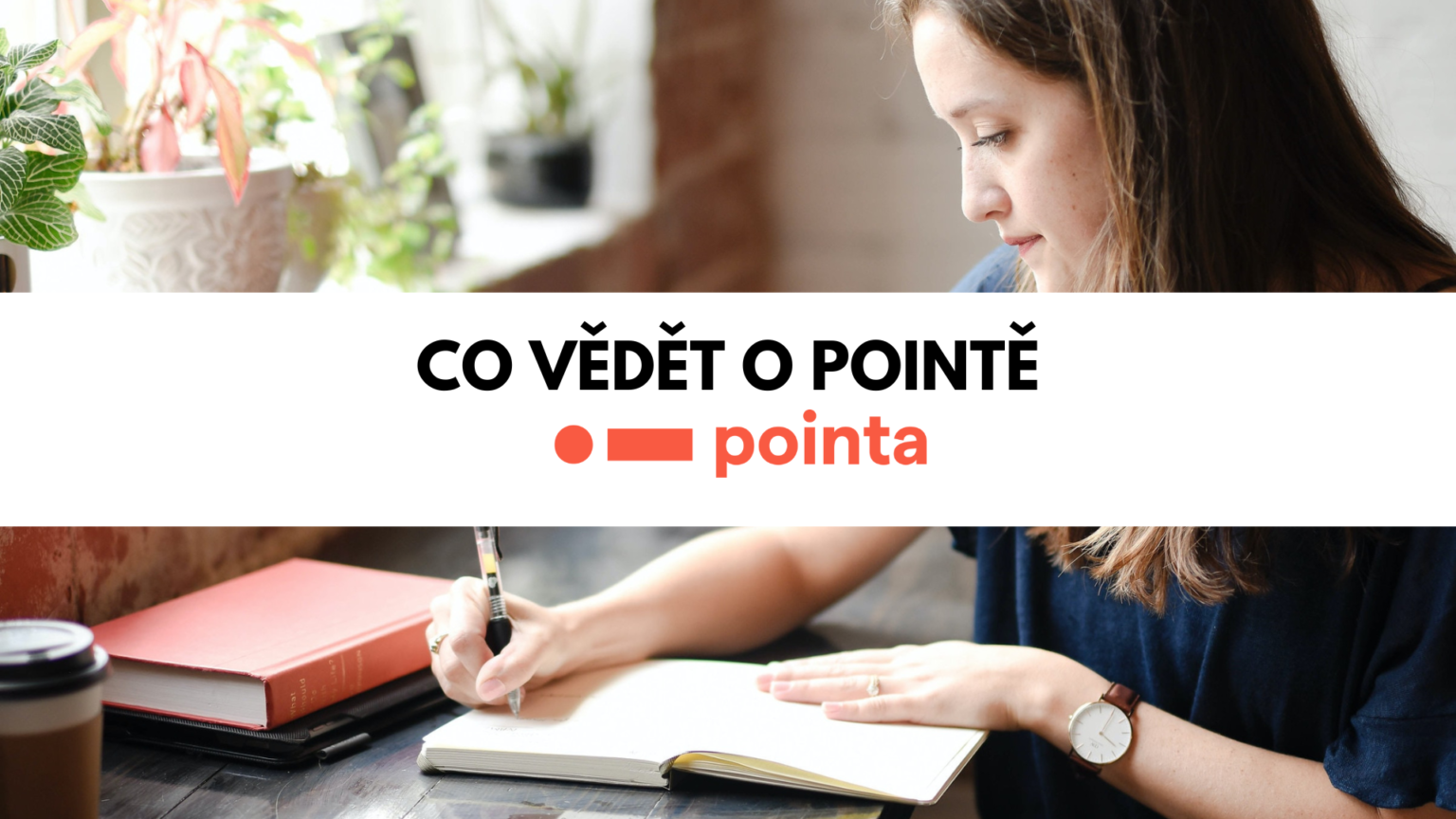 Jak funguje Pointa? Mýty vs. fakta – Pointa blog
